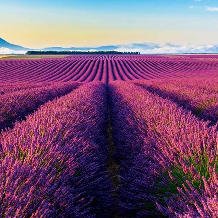 Inicio | ACTIVATE SENDERISMO. Senderismo Madrid en grupo